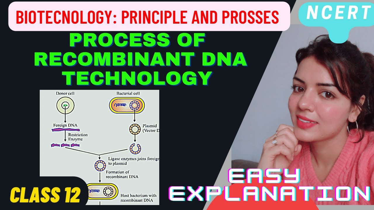 Process of recombinant DNA technology II class 12 II chapter11 - YouTube
