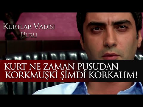 Polat Alemdar : Kurt ne zaman pusudan korkmuş ki şimdi korkalım!