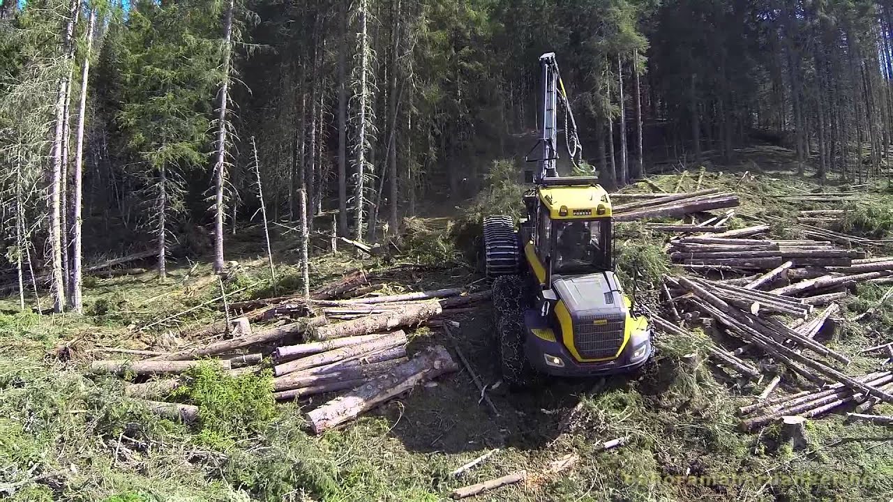 Ponsse Bear 2015 - YouTube