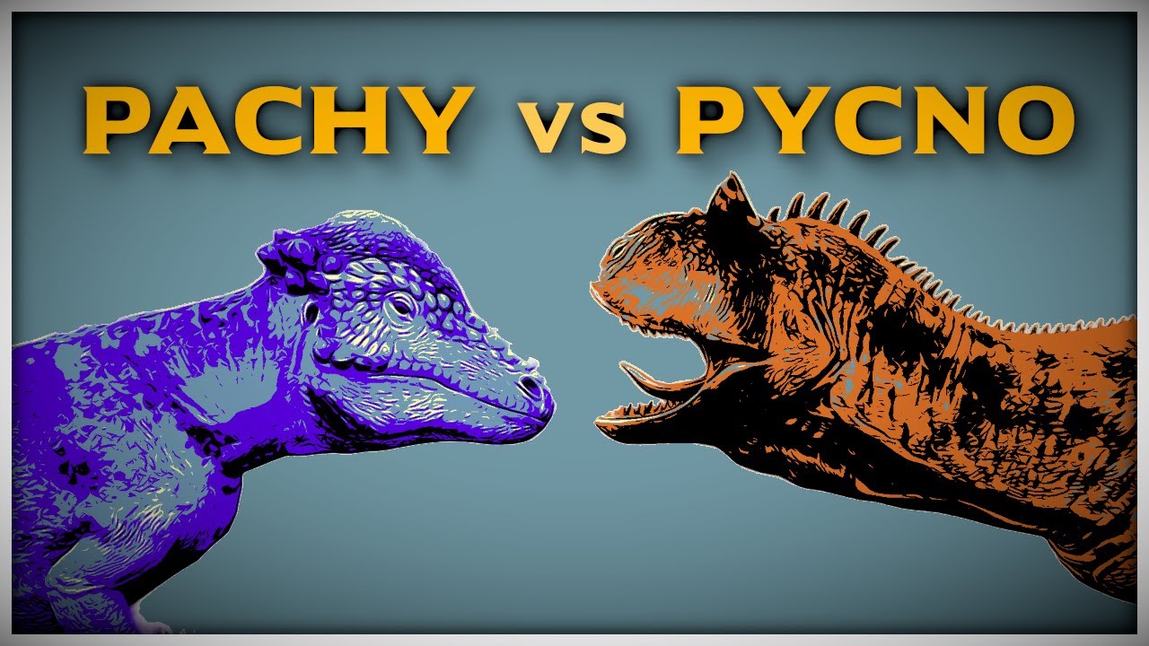 Pachy vs Pycno - Combat Testing & PVP | Path of Titans - YouTube