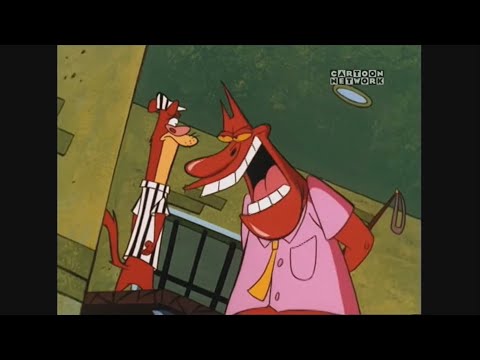 I Am Weasel - SIX YEARS IN THE BOX!!!