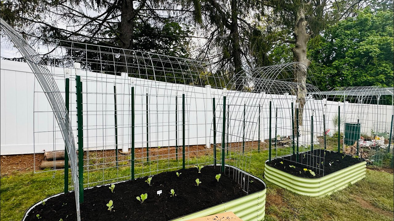 Arch Trellis And Cattle Panel Construction YouTube arch-trellis-and-cattle-panel-construction-youtube