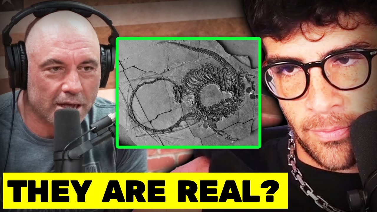 Joe Rogan Dragons Controversy Is Crazy | Hasan Daily - YouTube
