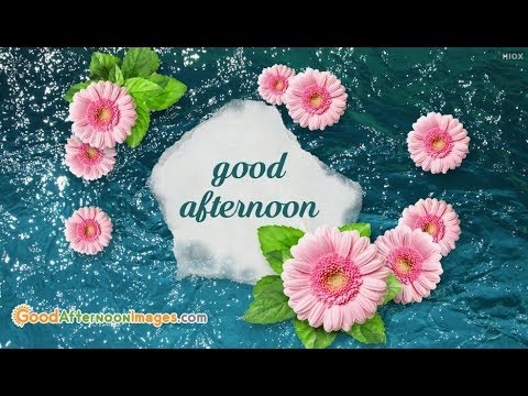 GOOD AFTERNOON WHATSAPP IMAGES