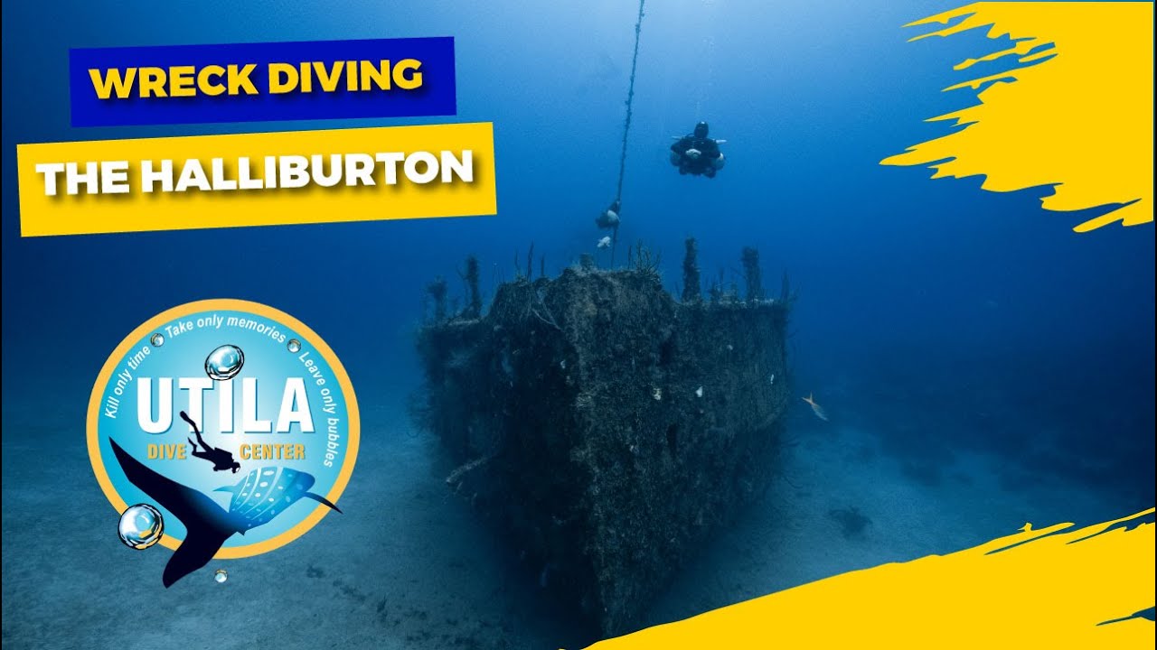 EXPLORING THE HALLIBURTON WRECK | PADI WRECK DIVING | UTILA DIVE CENTER ...