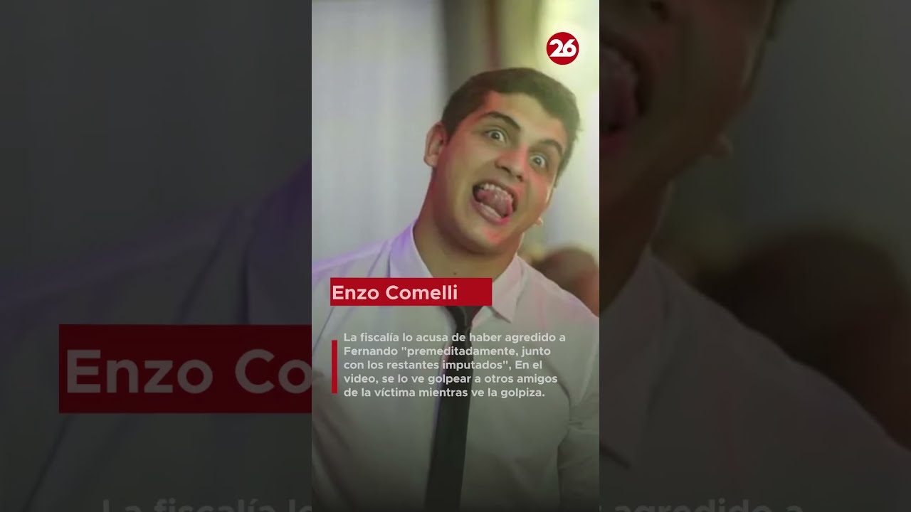 Crimen De Fernando Báez Sosa ¿cuál Es La Situación Judicial De Cada