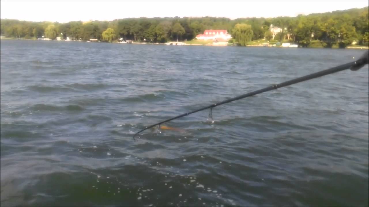 Leaping Musky, Pewaukee Lake, Wisconsin - YouTube