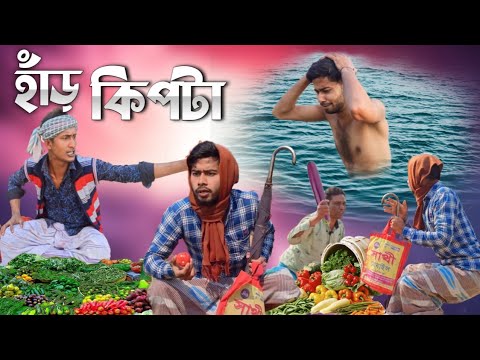 হাড় কিপটে 😂 | Har Kipte | Bangla Funny Video | MSD BoyZ - YouTube