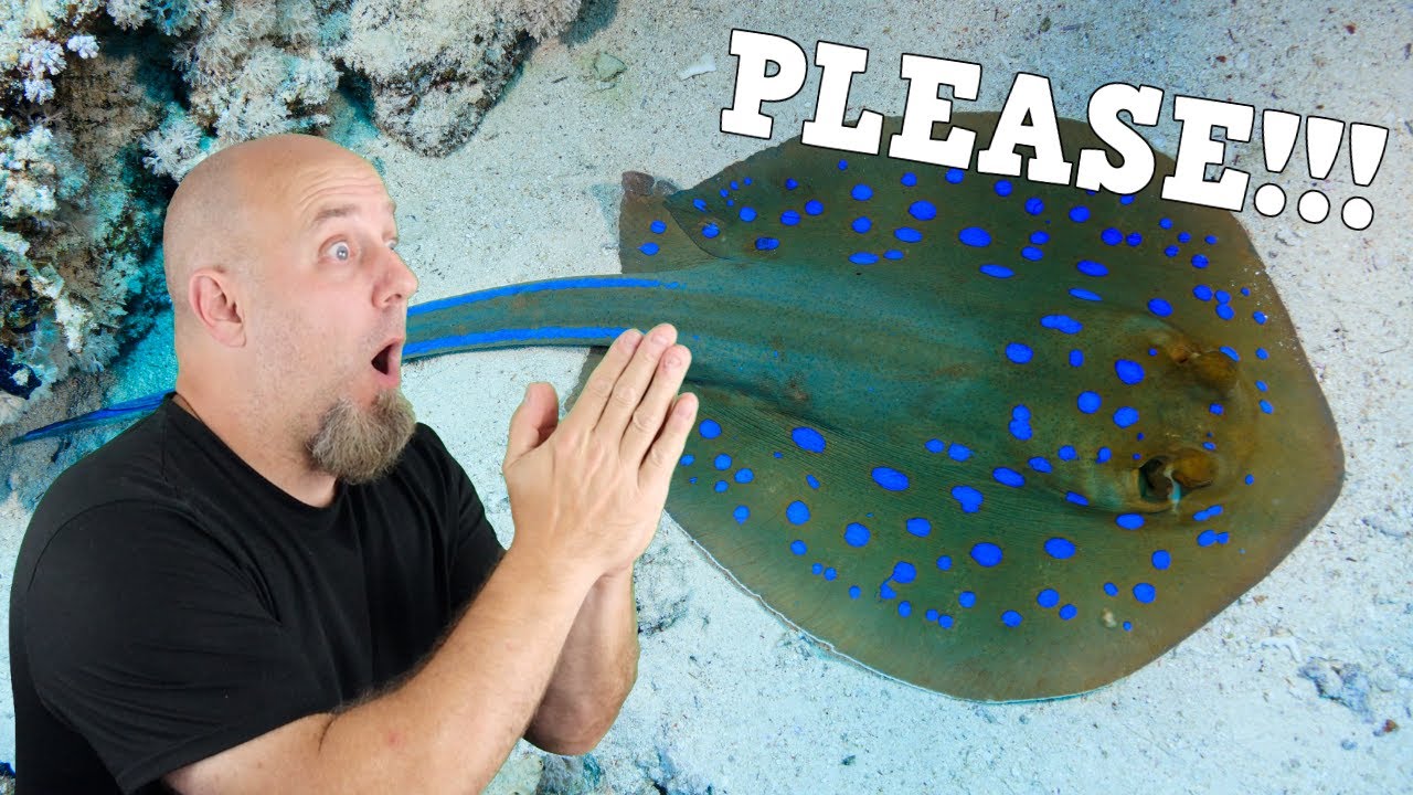AQUARIUM FAILS! 2 EMBARASSING Stories! - YouTube