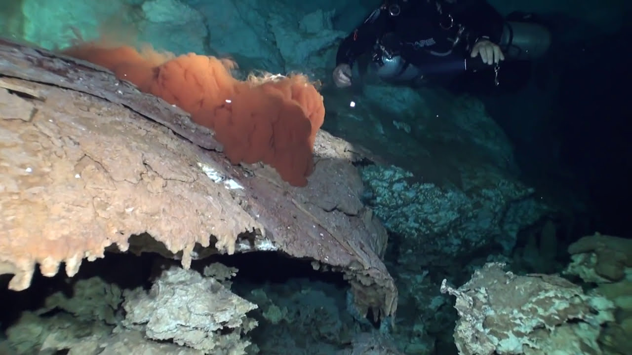Cave Diving Mysterious Sahara Desert Dust in Bahamas Cave - YouTube