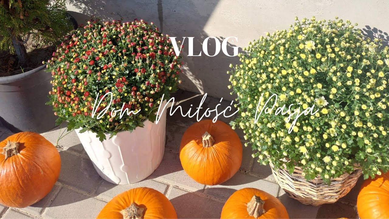 Odświeżam jesienne dekoracje przed domem :) - YouTube