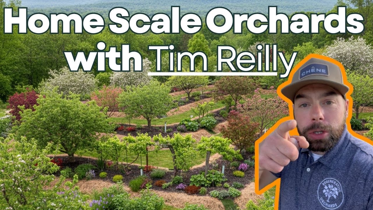 Stuff you should know about orchards with Tim Reilly - YouTube
