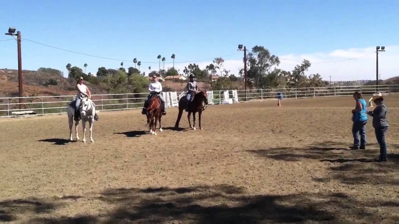 Stepp Stables 'Back to School' Show August 2014. 1st Place! - YouTube