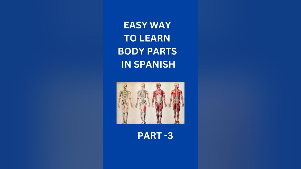 EASY WAY TO LEARN BODY PARTS IN SPANISH # 3#learnspanish # ...