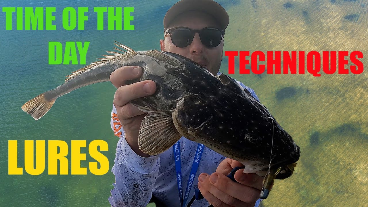 Mastering The Art Of Flathead Fishing: Perfect Timing And Tides - Reel ...