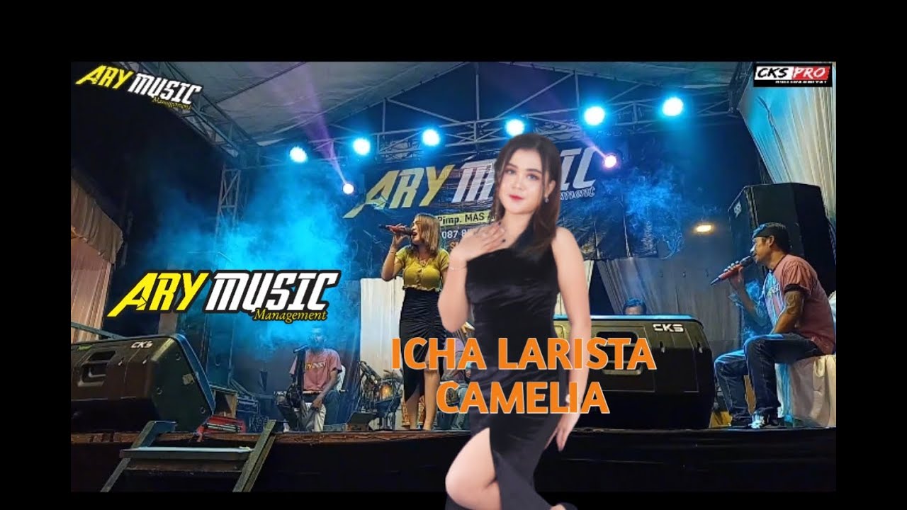 CAMELIA || ICHA LARISTA || LIVE ARY MUSIC FT CKS PRO - YouTube