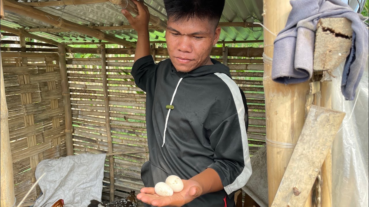 itlog po ba ito ng Manok o Ahas - YouTube