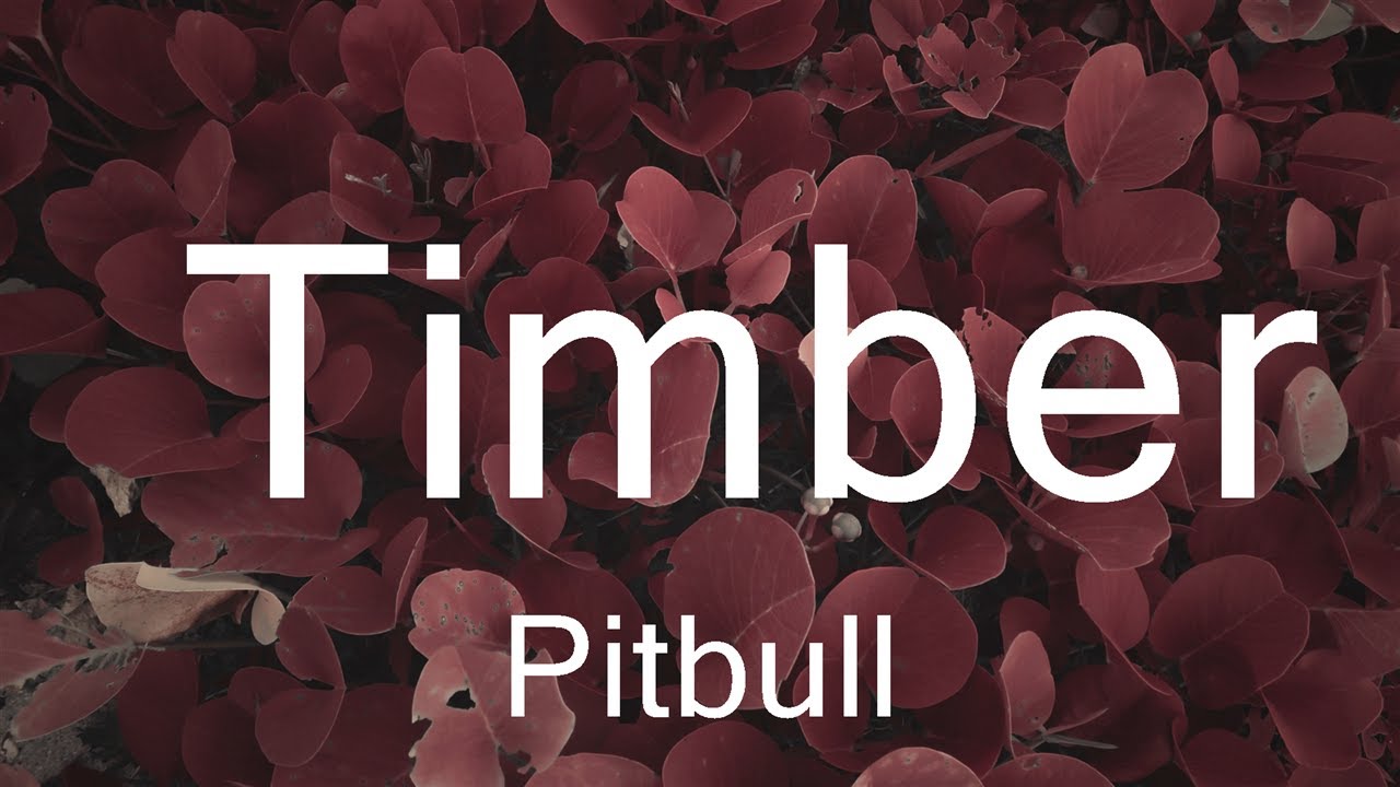 Pitbull - Timber (Lyrics) ft. Ke$ha | Music Sabrina - YouTube