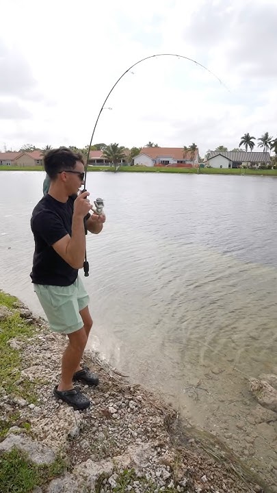 Use code “fish” to get the @fishverify app for only 19.95 the entire ...