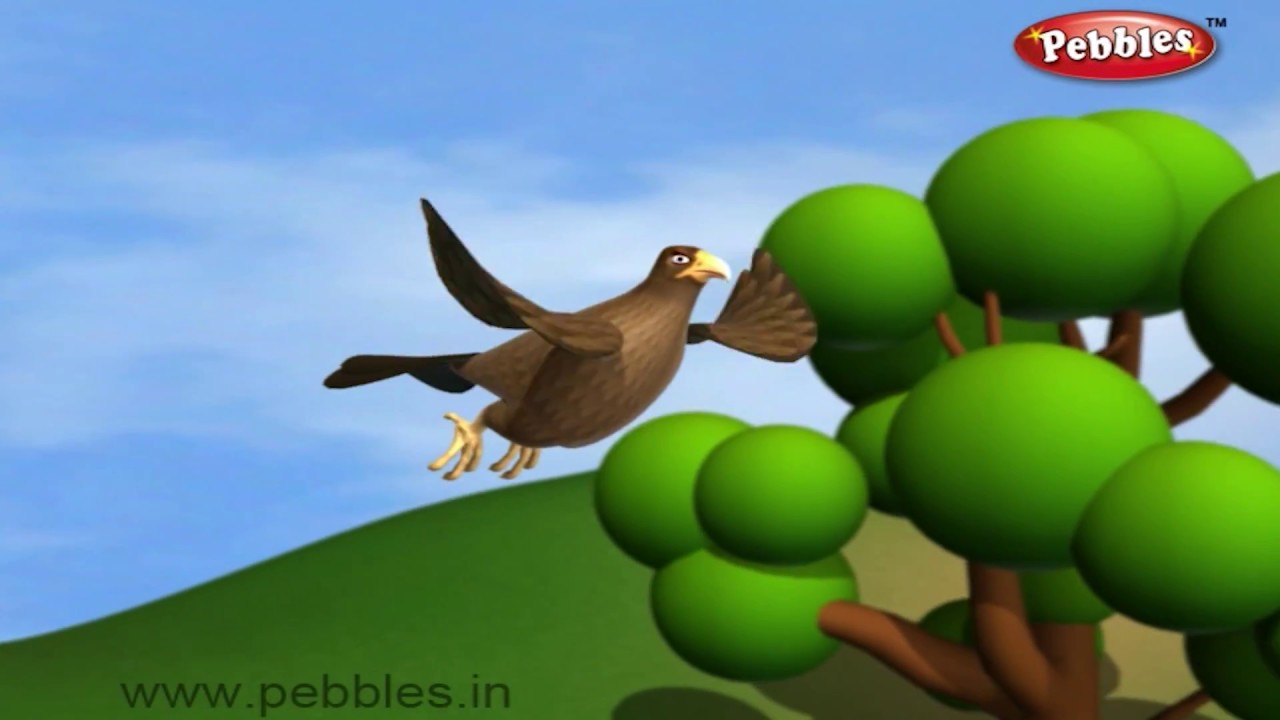Kite Bird Nursery Rhyme | Bird Rhymes | Nursery Rhymes For Kids ...