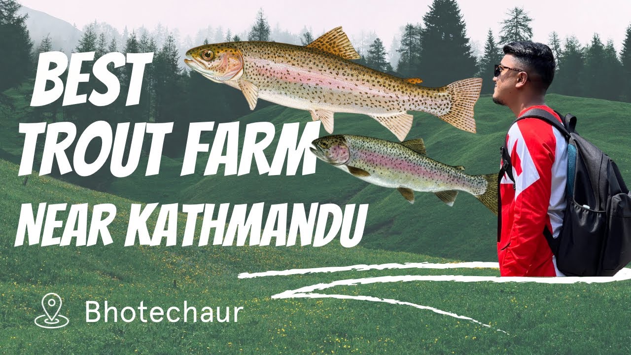 BEST TROUT FARM NEAR KATHMANDU | BHOTECHAUR | BINOD BHANDARI - YouTube