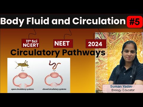 Circulatory pathway | Body Fluid and Circulation | NEET 2024| Class 11 ...
