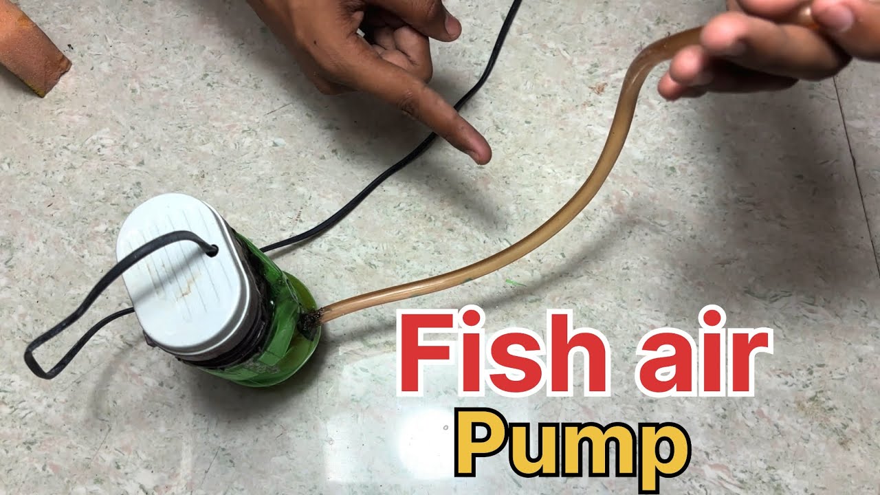 🤯How to make🔥 Fish Air Pump At home 🏡 || Abhishek Experiment || - YouTube