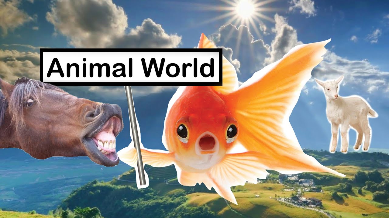 THE LIVES OF FAMILIAR ANIMALS: cats, chickens, horses, ducks, elephants ...