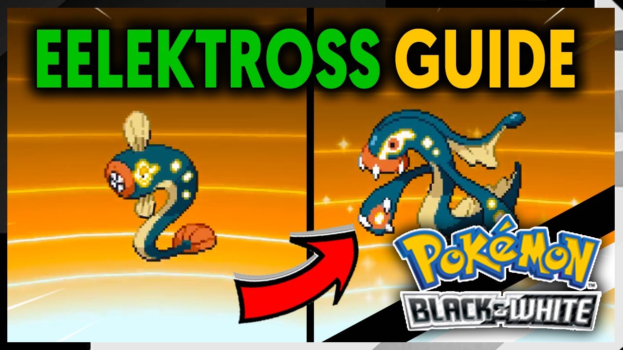 HOW TO EVOLVE EELEKTRIK INTO EELEKTROSS ON POKEMON BLACK AND WHITE ...