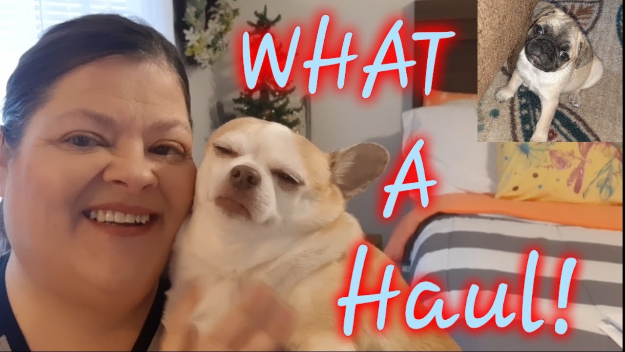 WHAT A HAUL! Shopping for.... - YouTube