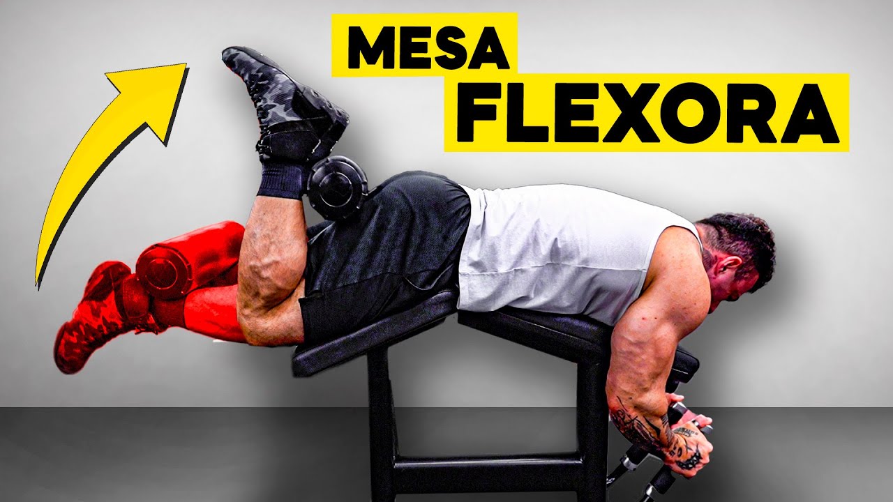 Como Fazer MESA FLEXORA Como Um Profissional! - YouTube