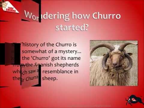 Toro Churro - YouTube
