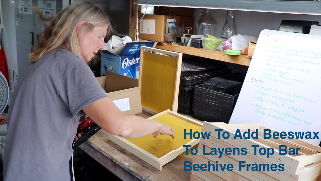 How To Add Bees Wax To A Layens Frame Top Bar Beehive - YouTube
