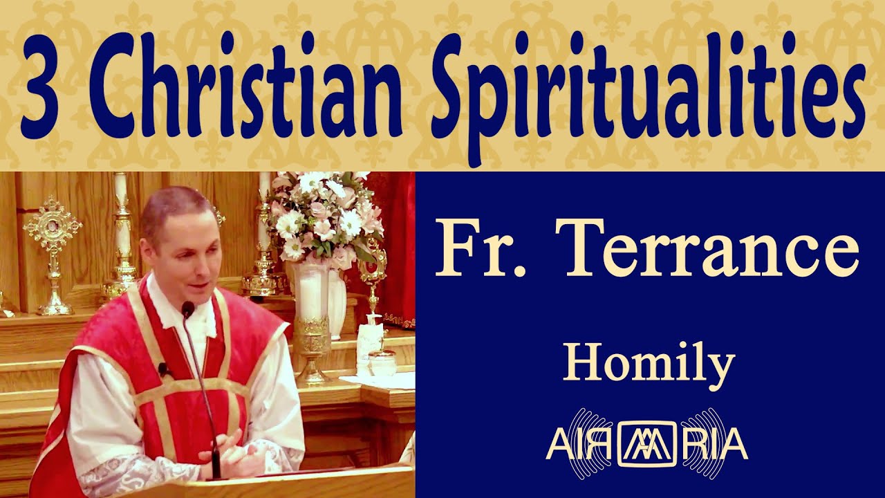 Franciscan Spirituality #3: Intro, part 3- Feb 06 - Homily - Fr ...