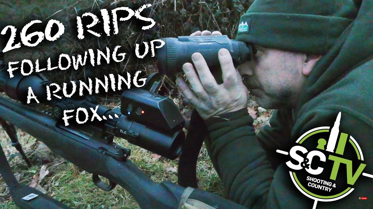 S&C TV | Mark Ripley (260RIPS) 20 | Following up a running fox - YouTube