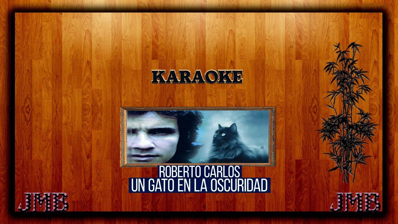 Karaoke Roberto Carlos - Un Gato en la oscuridad - YouTube