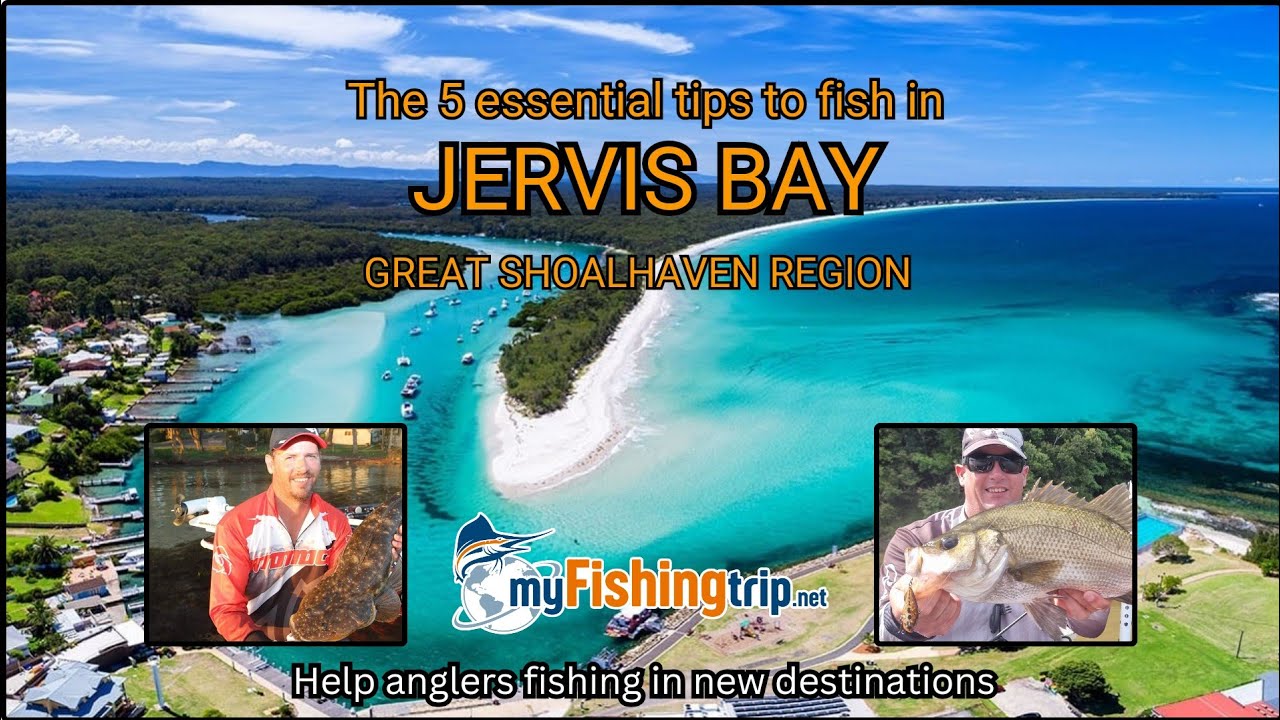 THE 5 ESSENTIAL TIPS TO FISH IN JERVIS BAY AND ST GEORGE BASIN ...