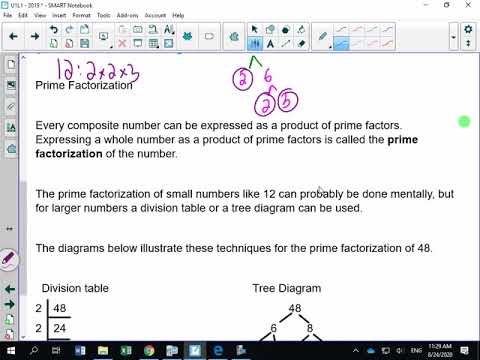 Numbers Lesson 1 - Prime Factors - YouTube