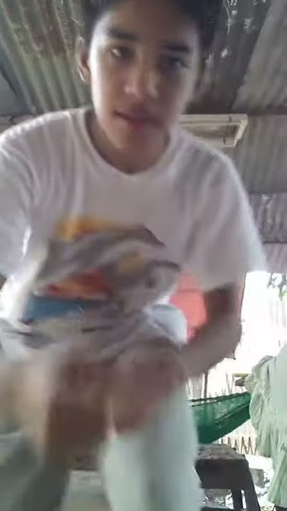 #ReverseMovieFX peyper magic@BOOM GARCIA - YouTube