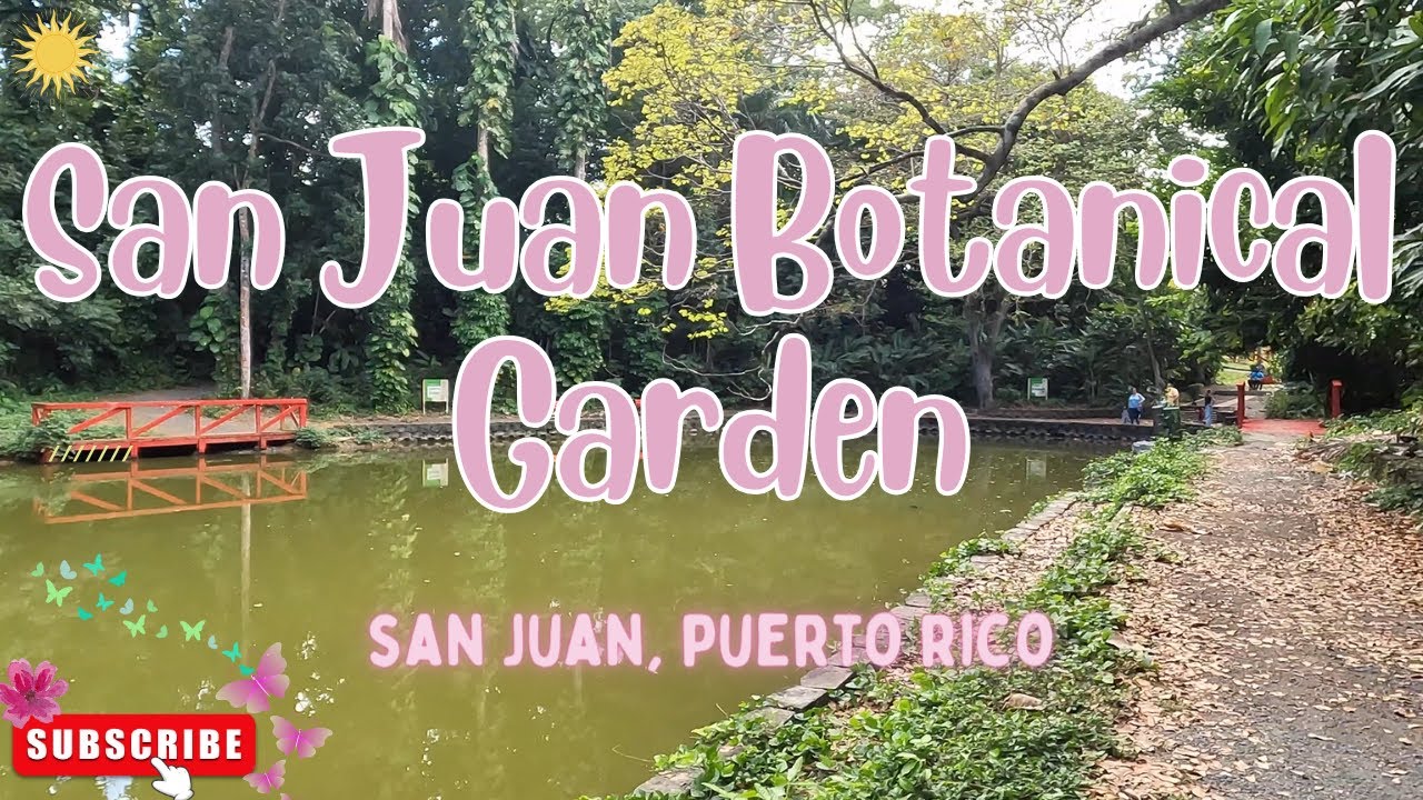 San Juan Botanical Garden of UPR, PUERTO RICO in 4K! Walk through on a ...