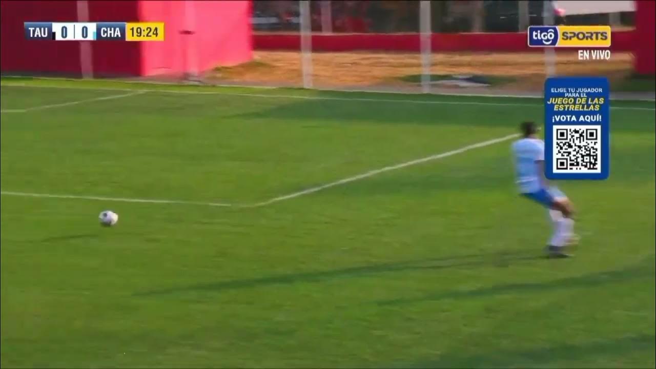 Transicion Defensiva L3 TFC 24 - YouTube