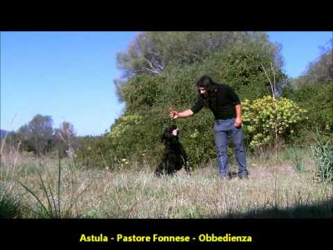 ASTULA - Pastore Fonnese - Obbedienza - YouTube