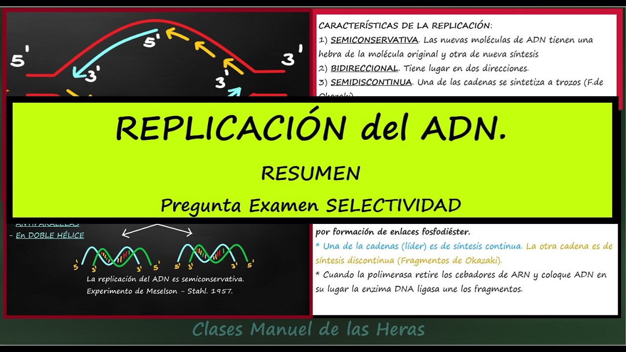 Replicación del ADN. RESUMEN Fácil!. Pregunta de Examen de Selectividad ...