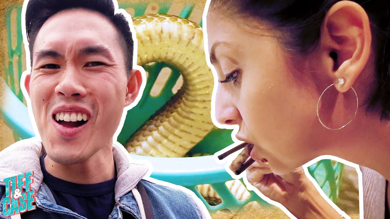 Trying Snake Meat in Shenzhen, China - YouTube