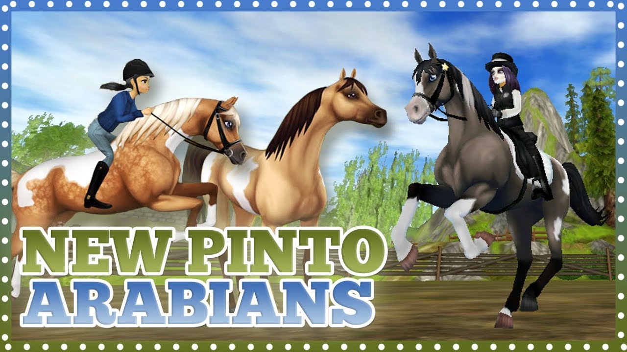 Precious new Pinto Arabians! | Star Stable - YouTube