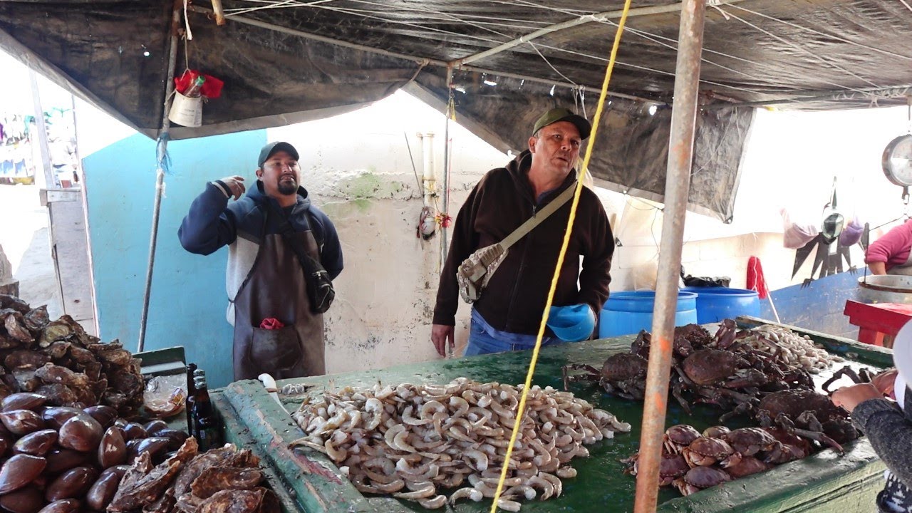 Seafood Shopping - Popotla Rosarito Fishing Village - Rosarito, Mexico ...