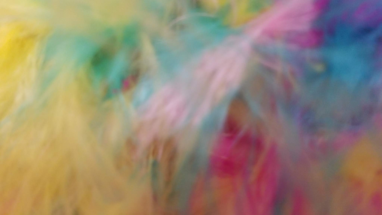 Making hybrid animals from a generator (or animating) - YouTube