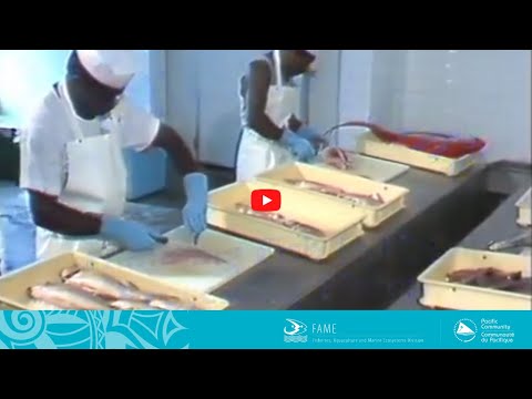 COASTAL FISHERIES TRAINING | 3.2 - A chilling story: Handling fish in ...