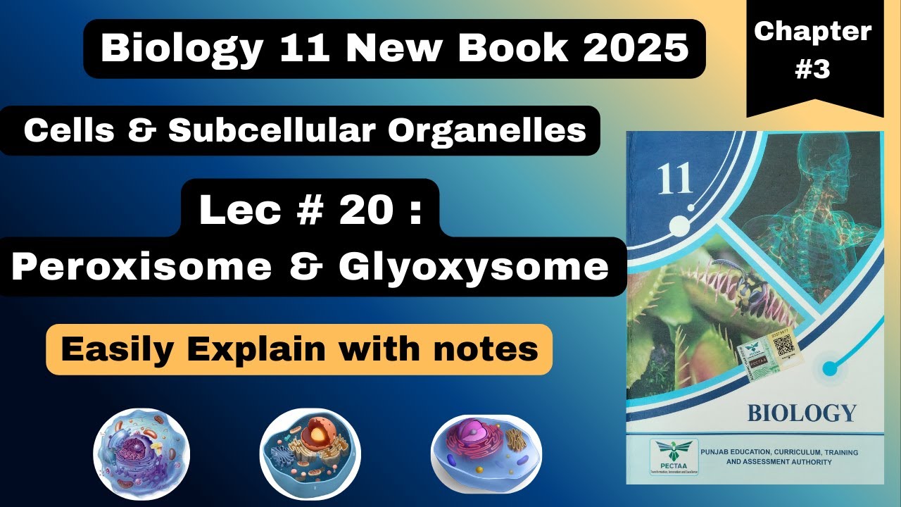 Peroxisome | Glyoxysome | Structure | Cell & Subcellular organelles ...