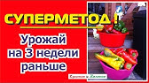 ЭМ препараты своими руками - YouTube